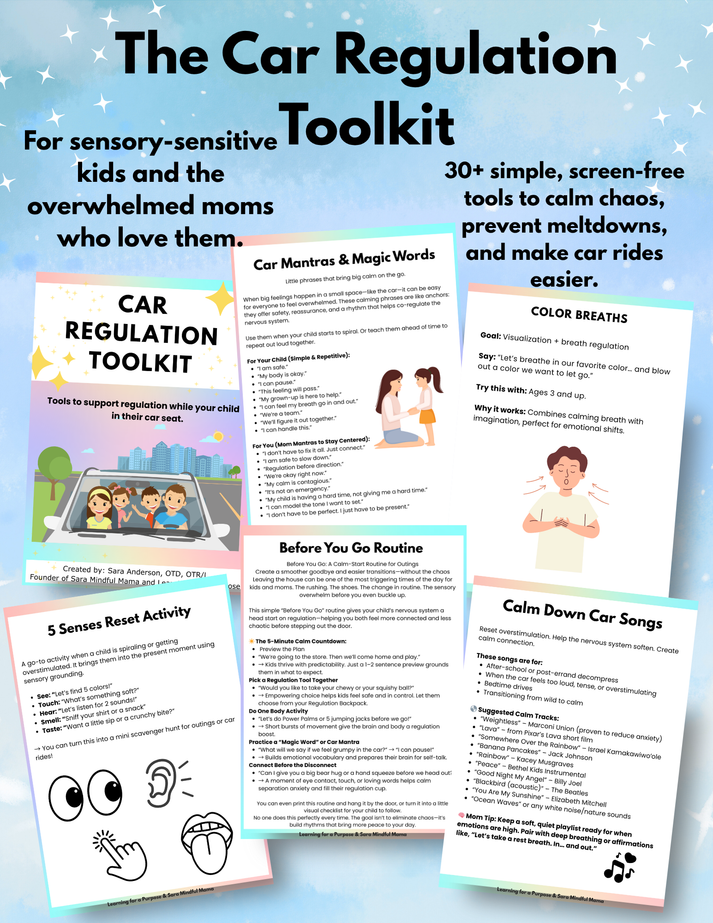 The Car Regulation Toolkit – Learning For a Purpose