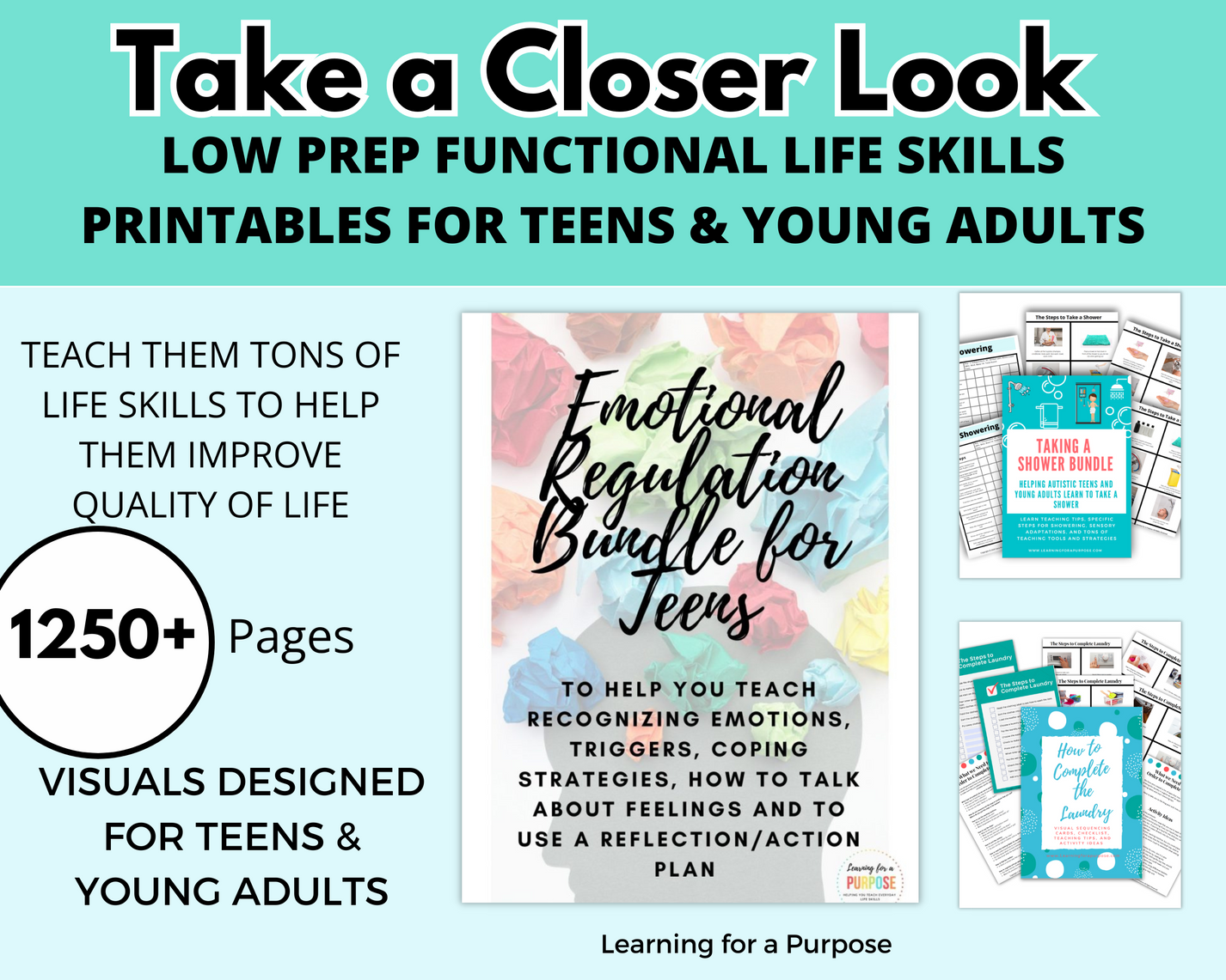 Functional Life Skills Printable Bundle Toolkit for Teens and Young Ad ...