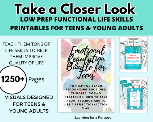 Functional Life Skills Printable Bundle Toolkit for Teens and Young Ad ...