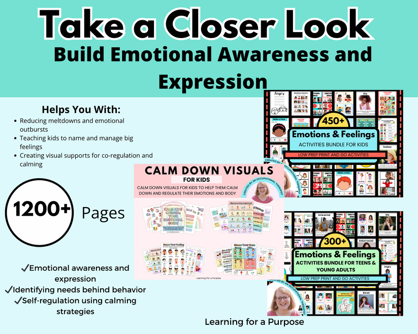 Emotional Regulation Toolbox – Learning For a Purpose
