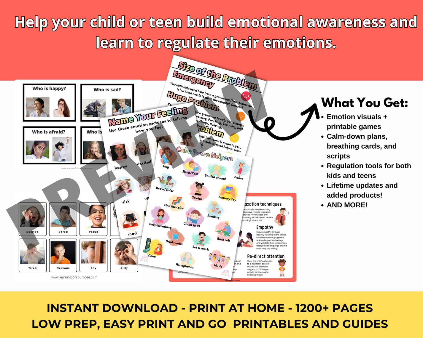 Emotional Regulation Toolbox – Learning For a Purpose