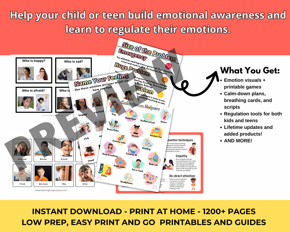 Emotional Regulation Toolbox – Learning For a Purpose